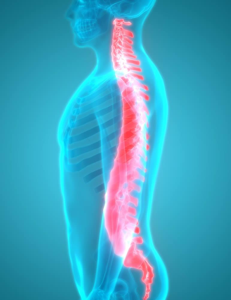 Spine and Pain Conditions We Treat Dallas, TX